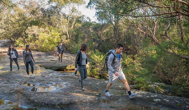 Bushwalking Safety Nsw National Parks