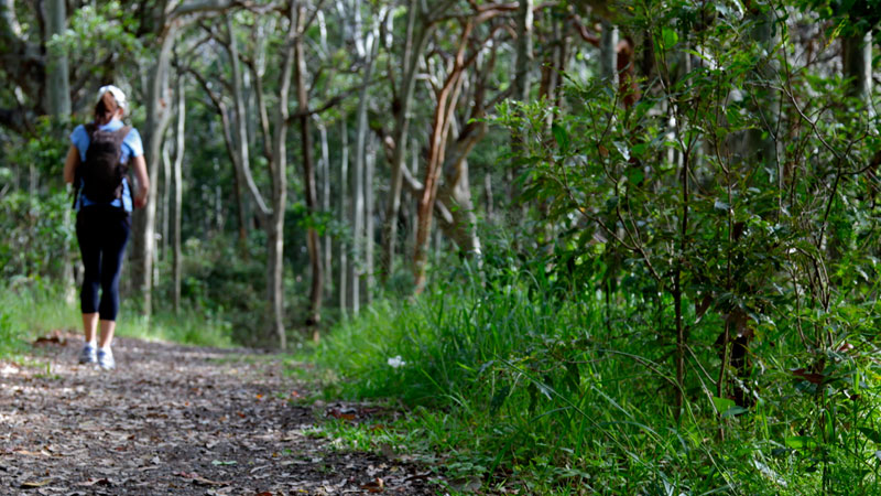 Glenrock State Conservation Area | NSW National Parks